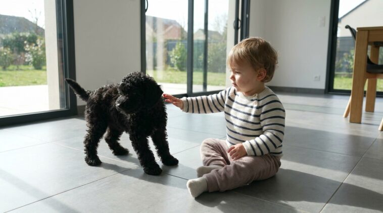 Je les laissais jouer ensemble sans y penser : ce que notre vétérinaire ...